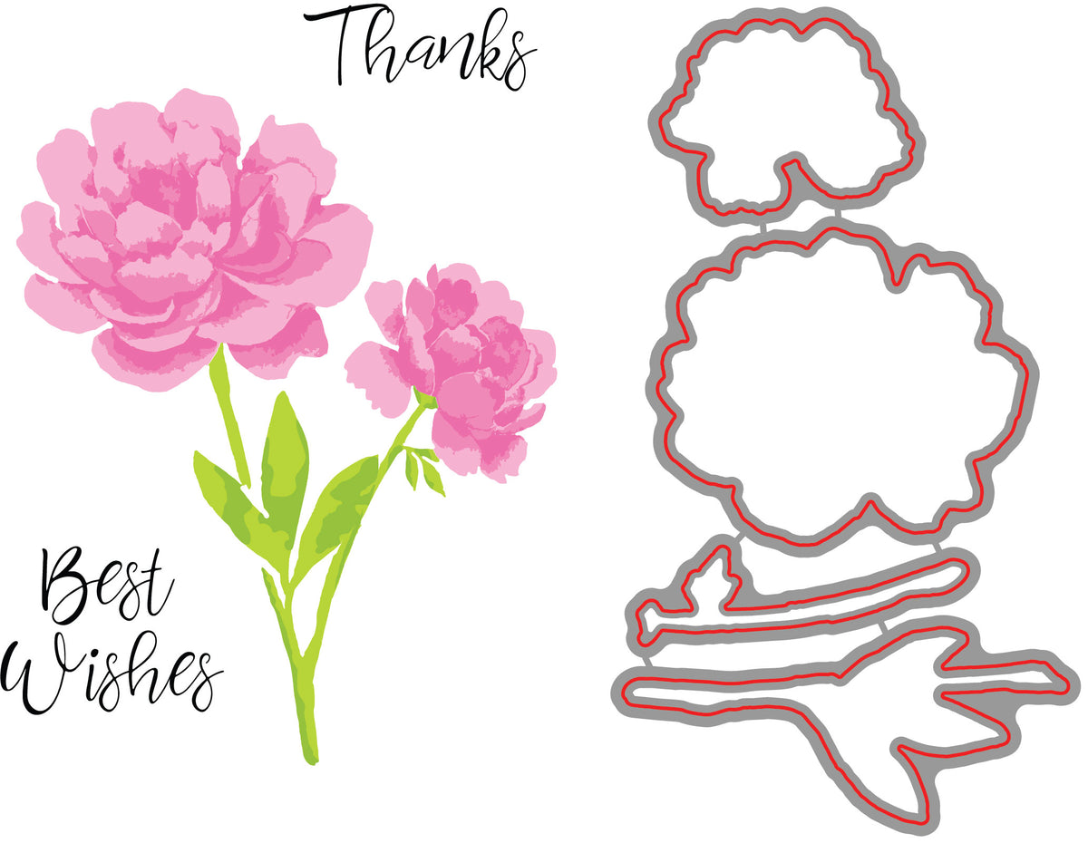 3314 Sweet Peony Stamp and Die Bundle — Brass & Bliss Craft Co.
