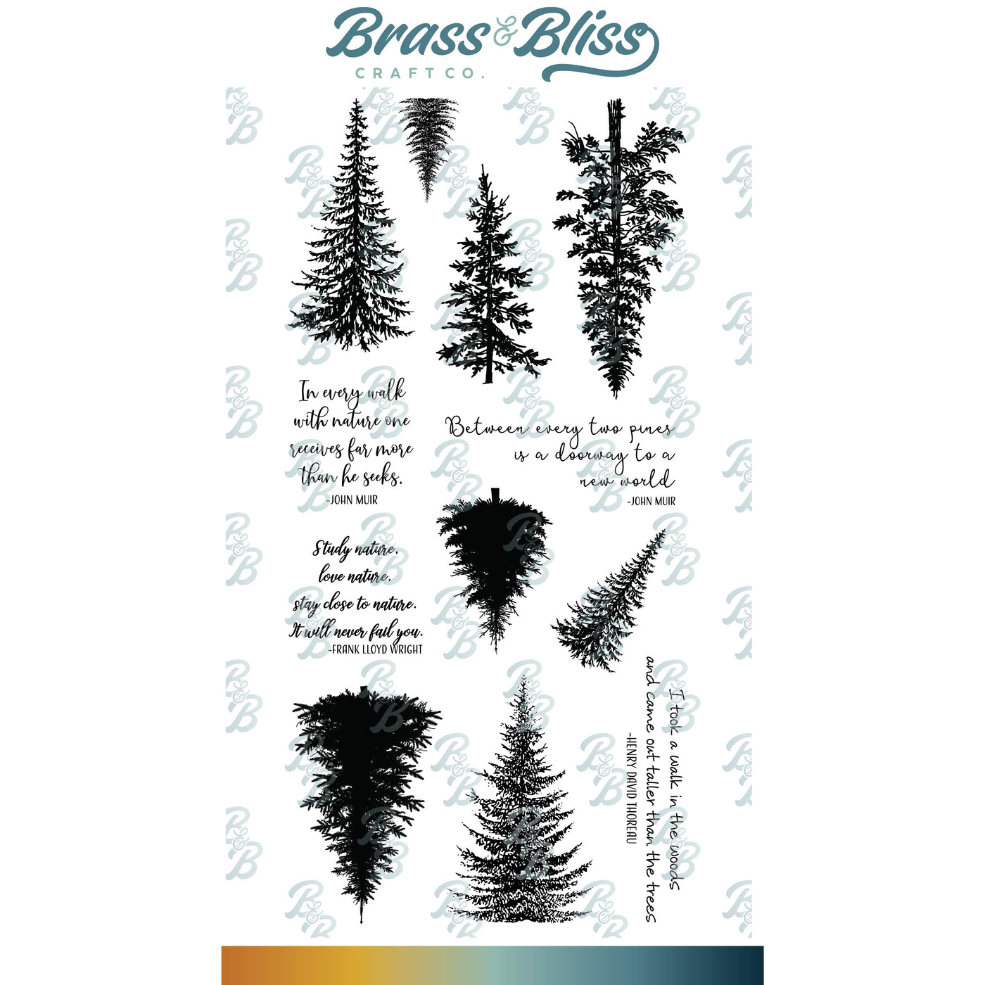 3460 Pine Tree - 4x8 Stamp Set — Brass & Bliss Craft Co.